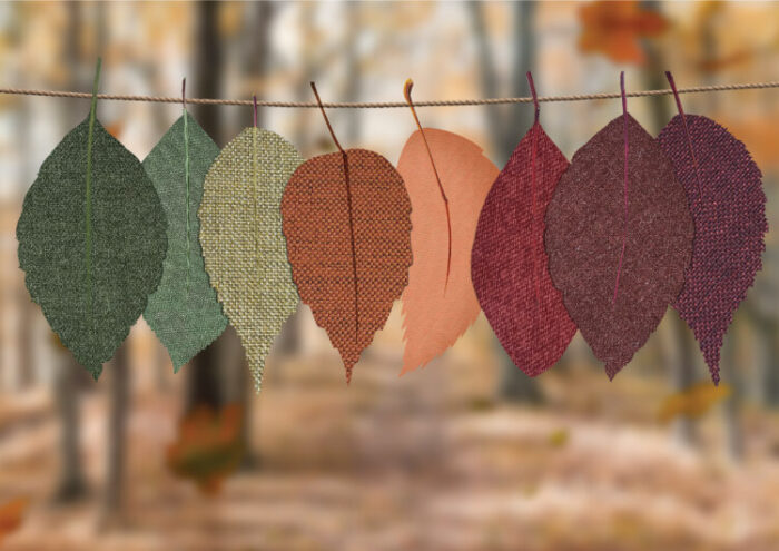 Fall Decor for Home: Easy Ideas You Can do Fast • Mercy Digital Designs