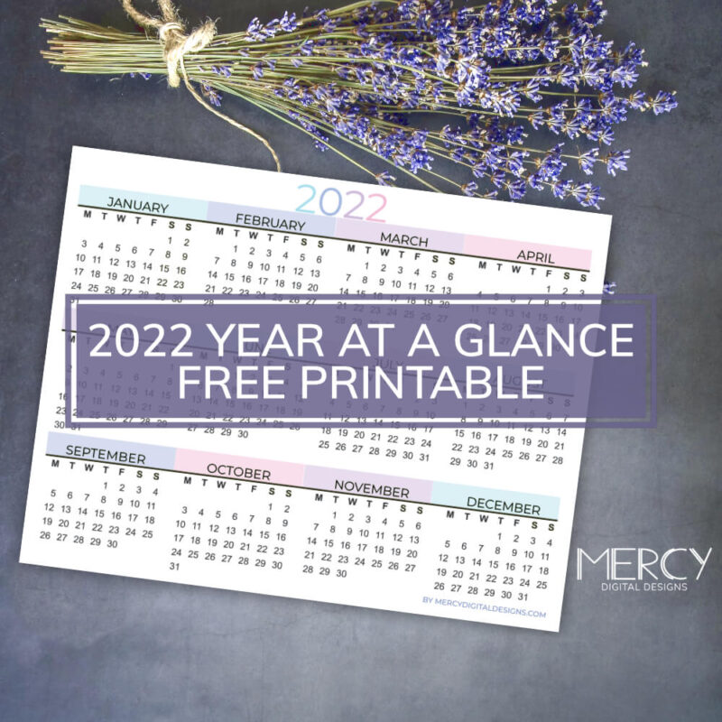 2022 Year at a Glance Free Printable • Mercy Digital Designs