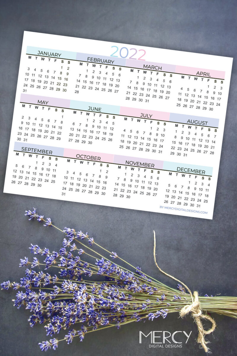 2022 Year at a Glance Free Printable • Mercy Digital Designs